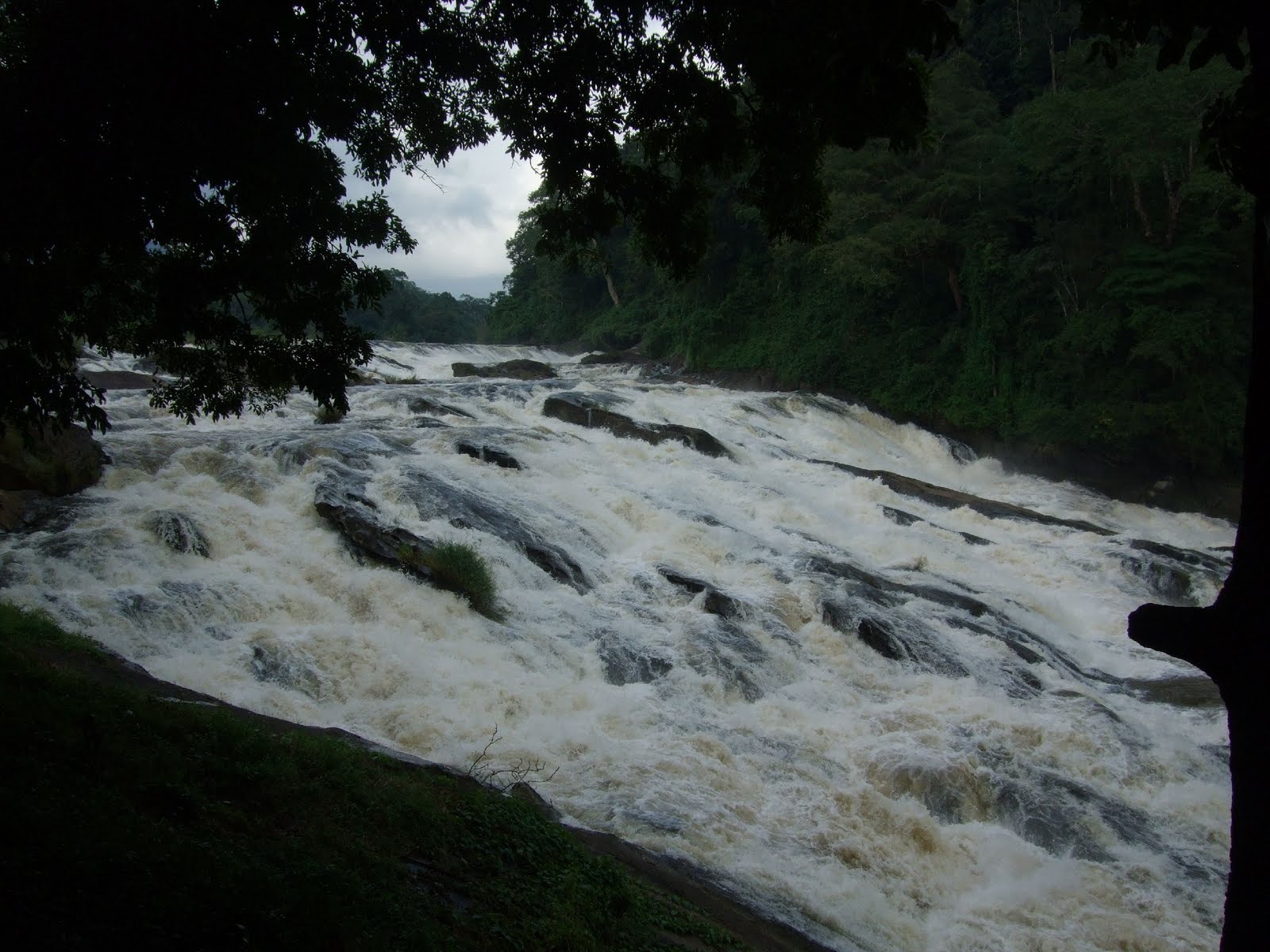 Exploring South India - Travel blog.....: Road trip to Sholyar Dam ...