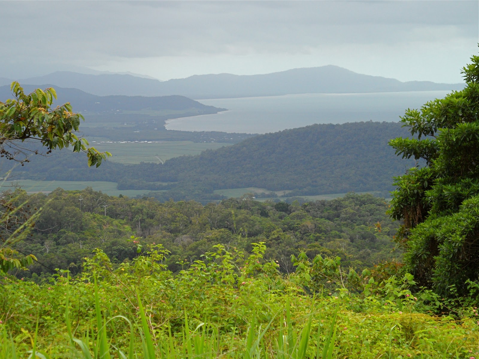 Avan Touring in Australia: Rifle Creek Rest Area, Mount Molloy