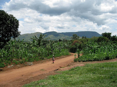 Liberia aka L.i.b.: Liberia's Natural Terrain