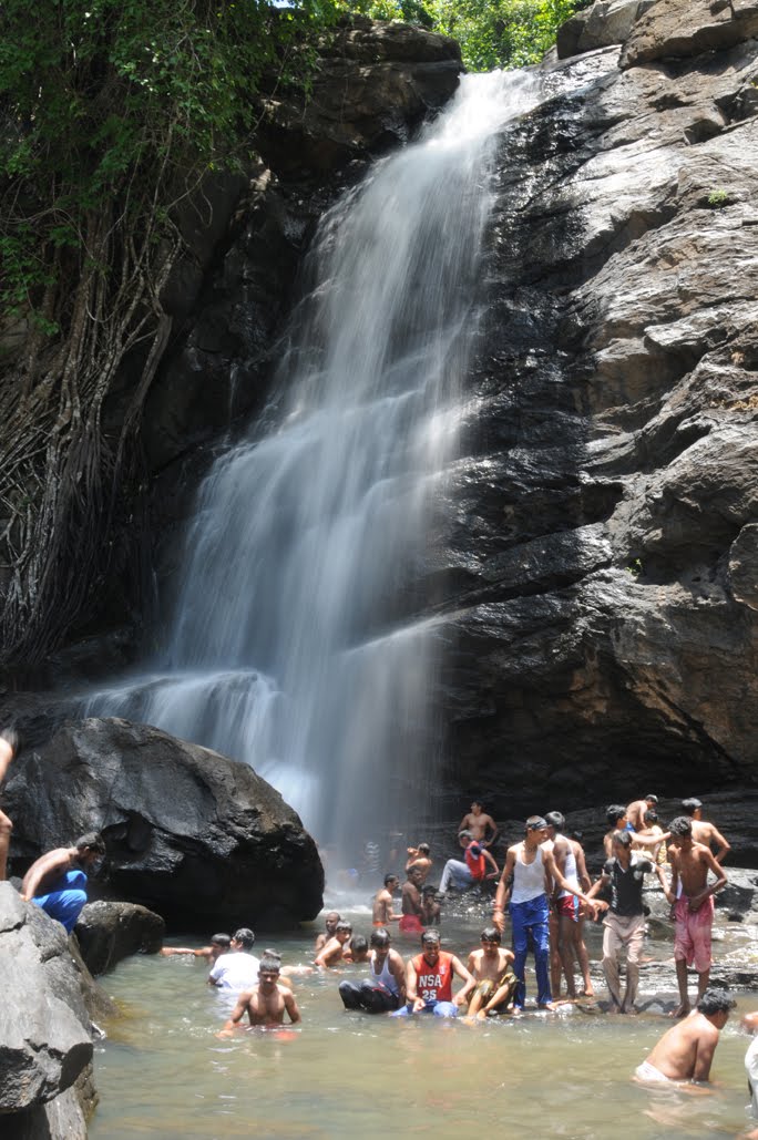 Sahil's travel blog: Wayanad and Alappuzha