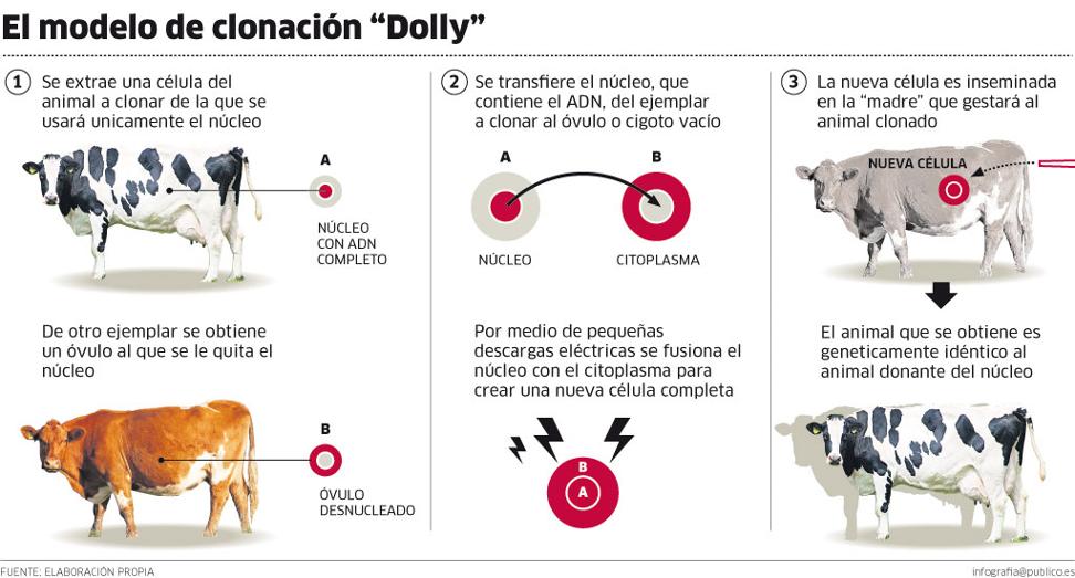 Seguridad , Higiene y Tecnologia de Alimentos.: Lo Próximo. Carne de ...