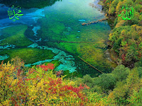 Nature Scene With Allah's Name - Islamic Wallpaper - Islamic Wallpapers ...