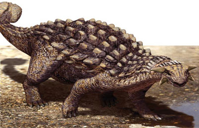 Dinowamas: Ankylosaurus