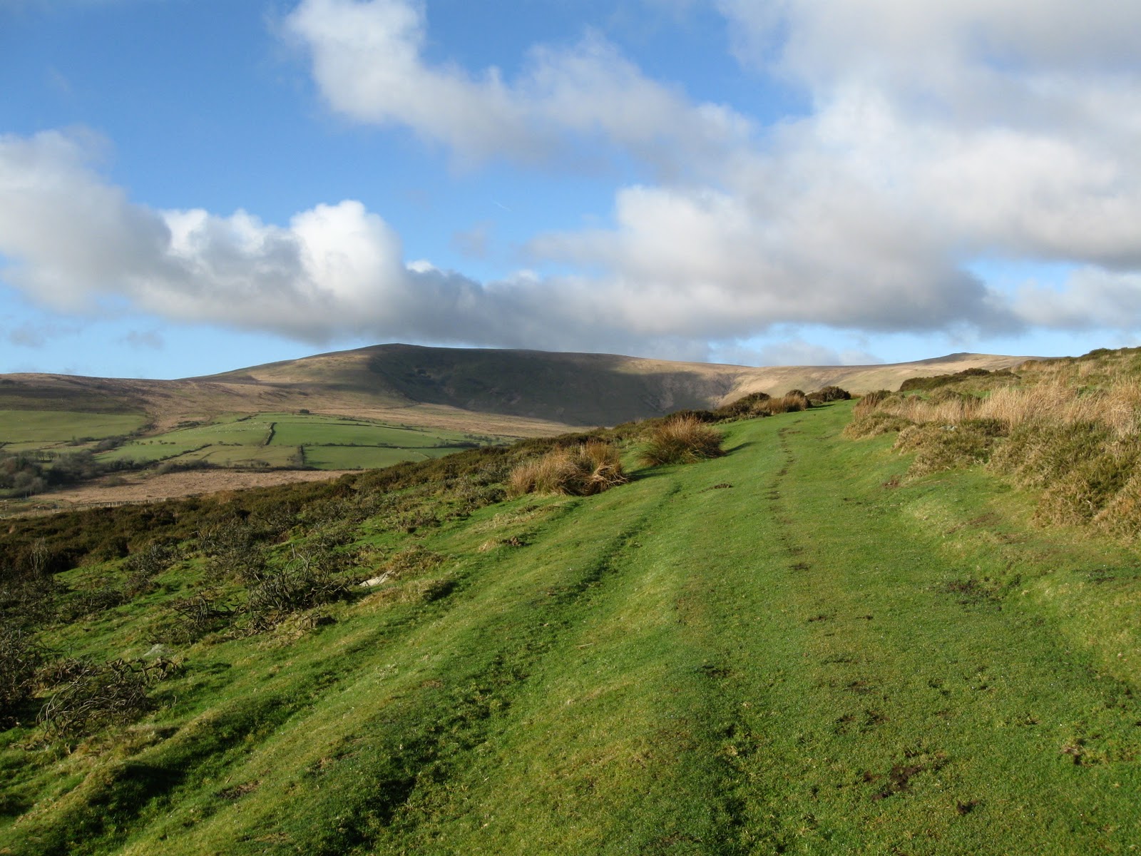Life in the Preseli Hills: Walking in the Preseli Hills