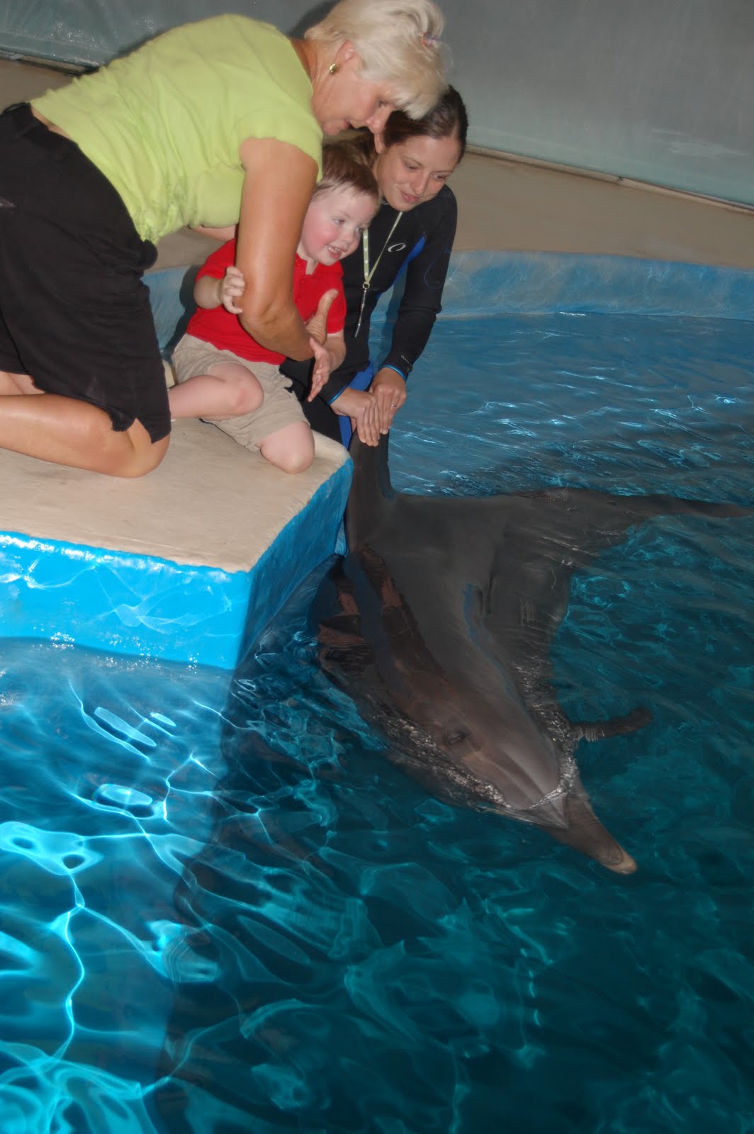 The Lows: Zoo- Behind the Scenes with the Cheetahs & Dolphins!