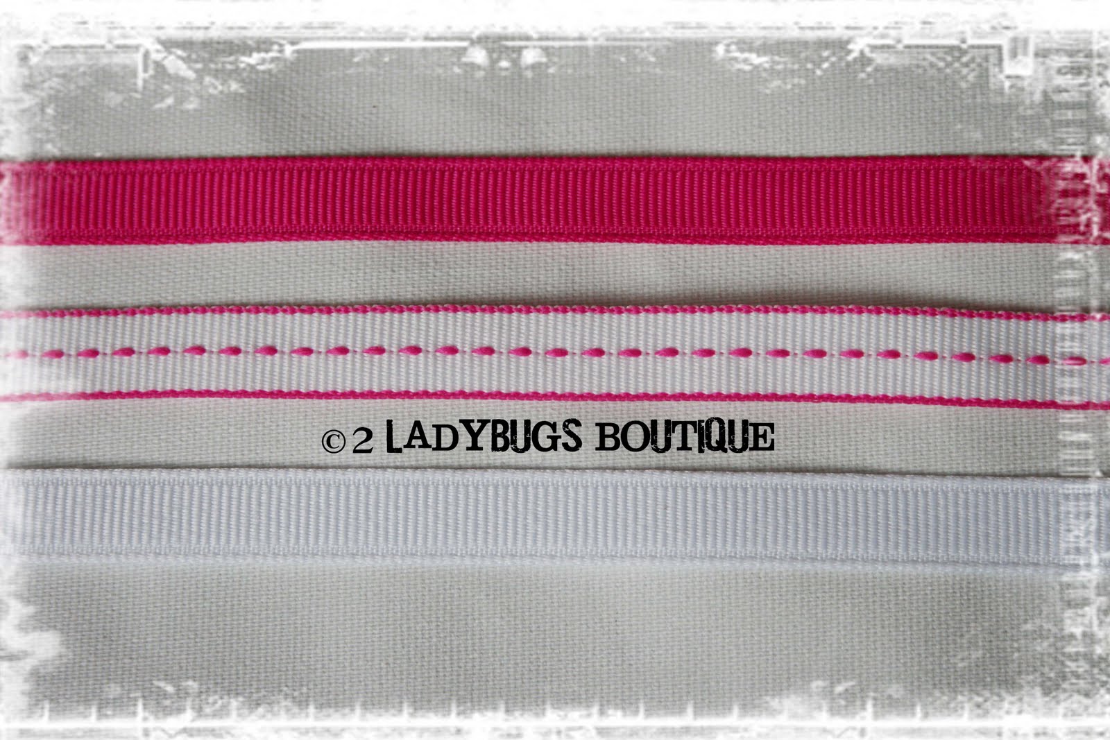 2 Ladybugs Boutique