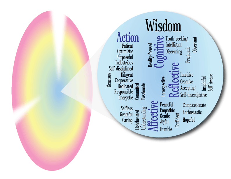 The Wise Path: The Wise Path—Progress Toward Wisdom