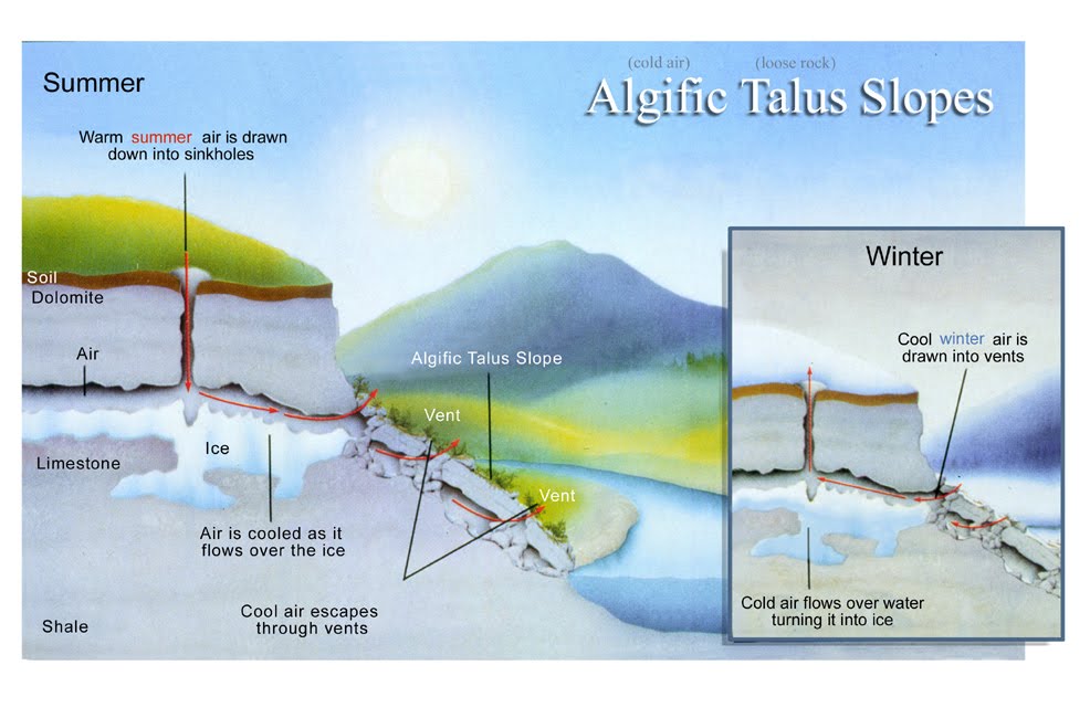 Osborne Welcome and Nature Center: Algific Slopes
