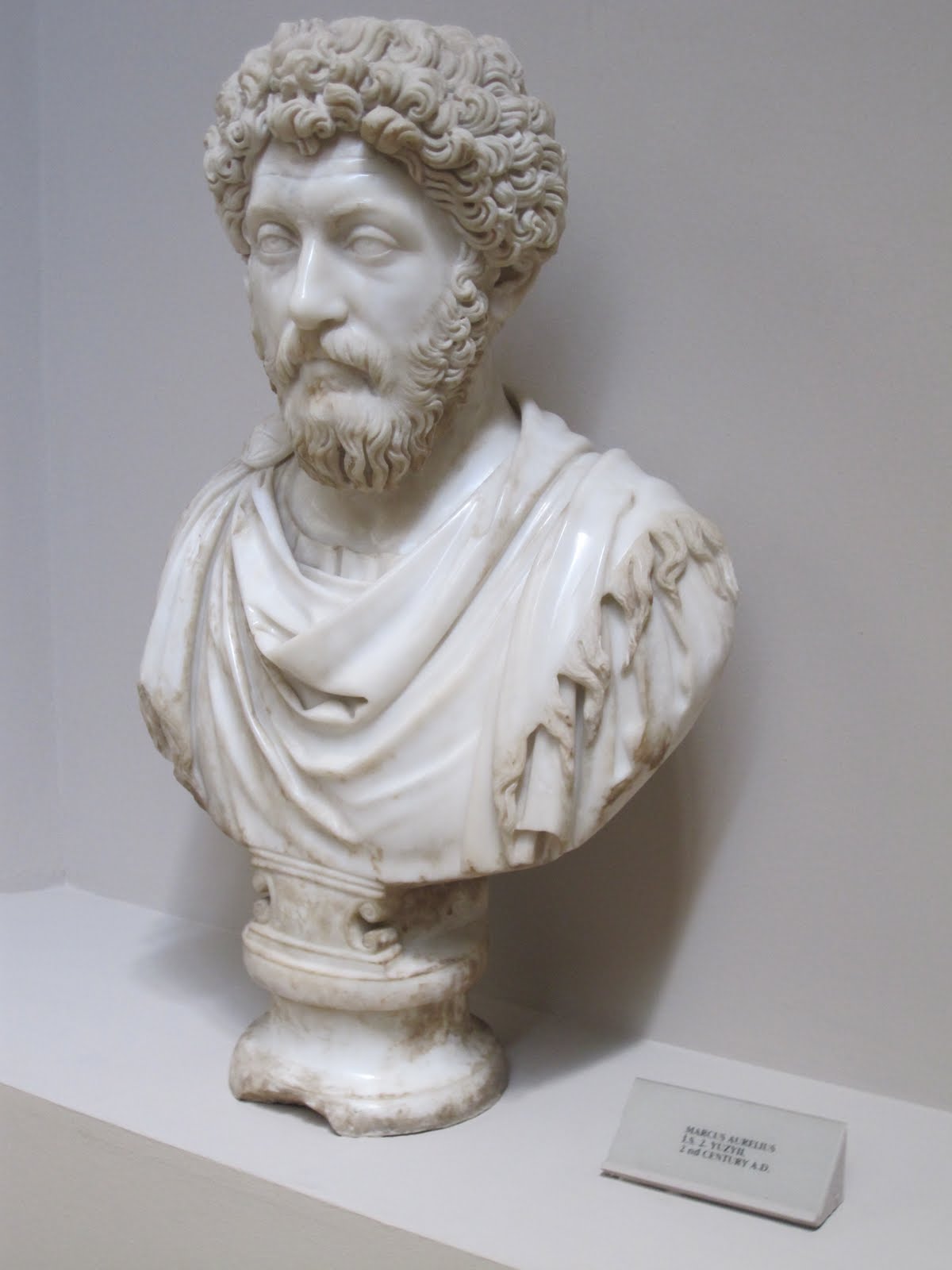 Cannundrums: Ephesus