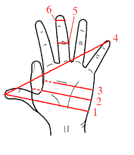 Level Up Your Skill !!!: Finger (length)