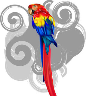 Quality Graphic Resources: Guacamaya Vector