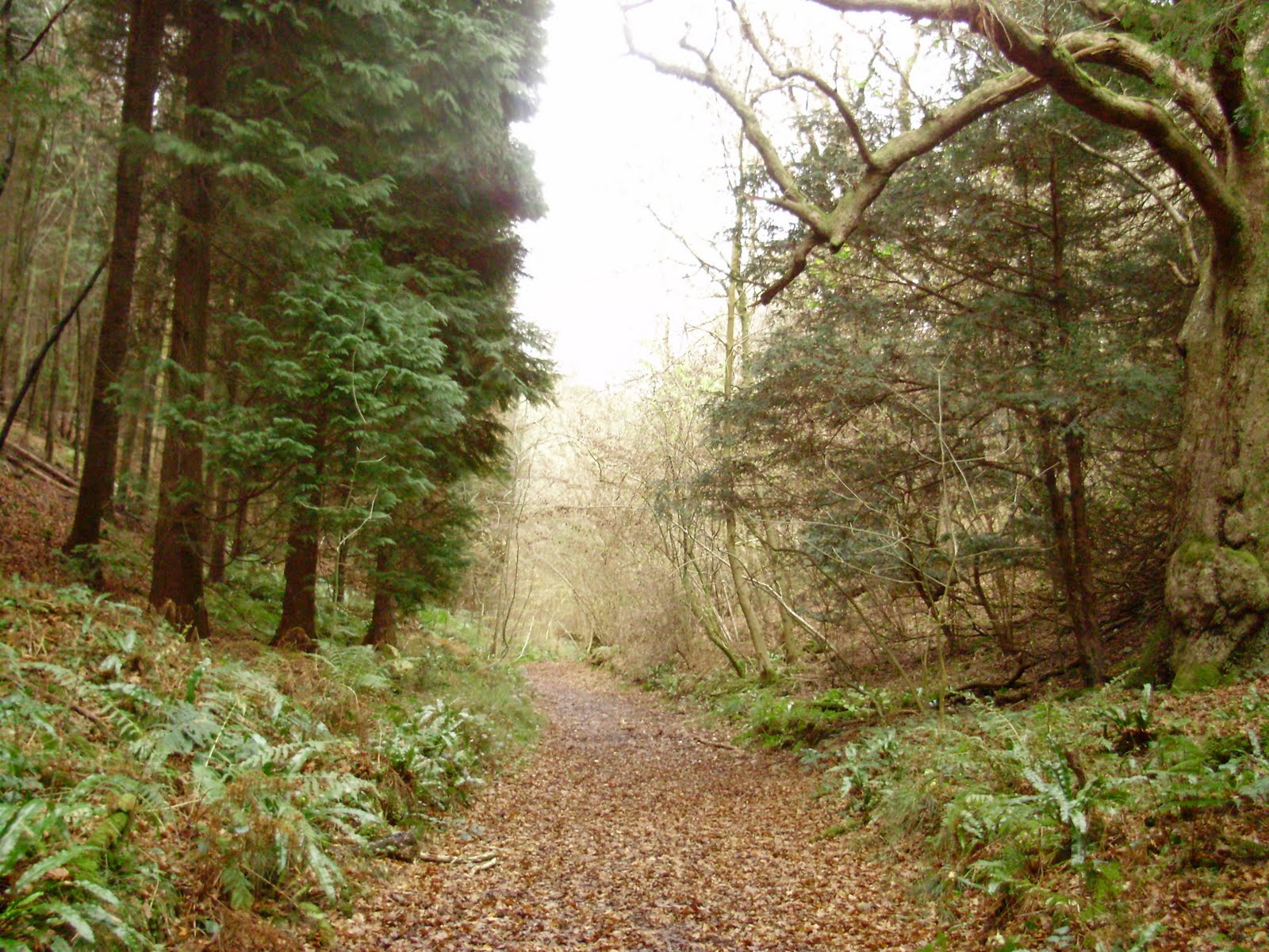 The Faery Folklorist: Goblin Combe