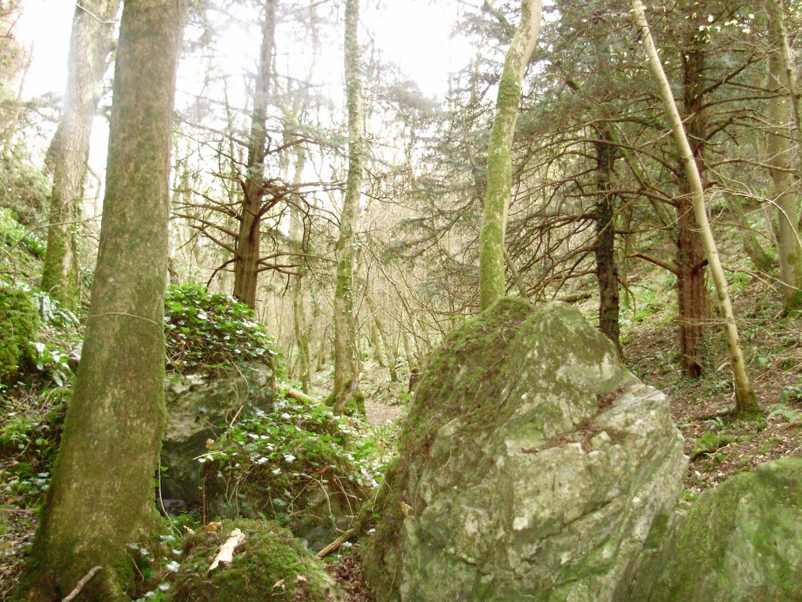 The Faery Folklorist: Goblin Combe