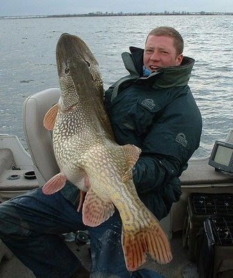 Alex's World.: Record Northern Pike in Canada!