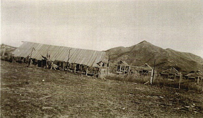 The Karl & Cree Probst Family: History of Karl Lorenzo Probst - Part IV