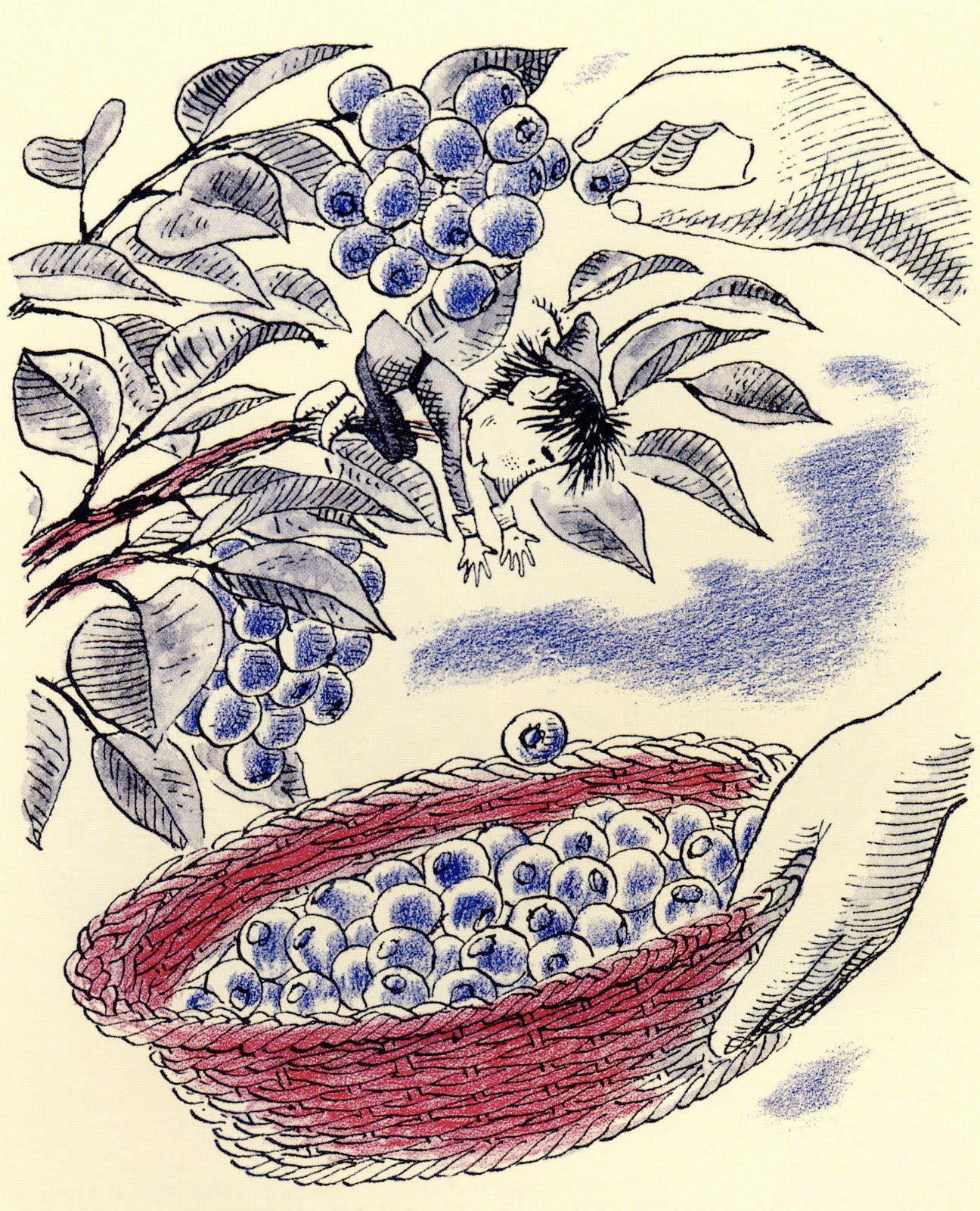 Nothing in the House: The Blueberry Pie Elf