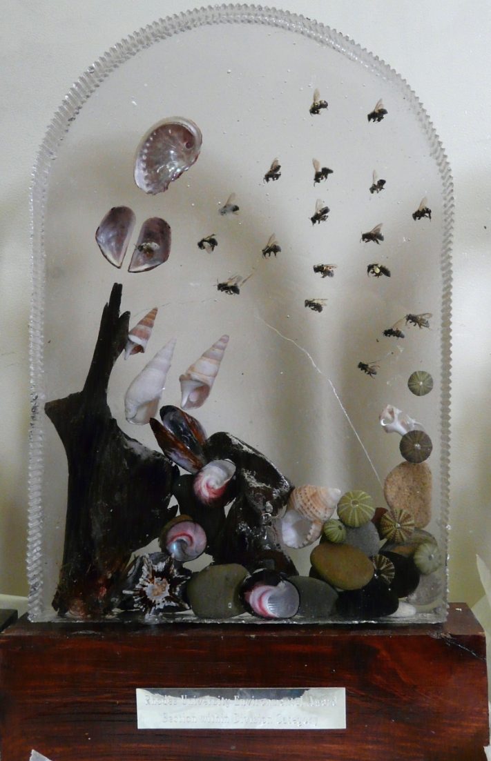 The Chronicles of Gen: Environmental Trophies for Rhodes University