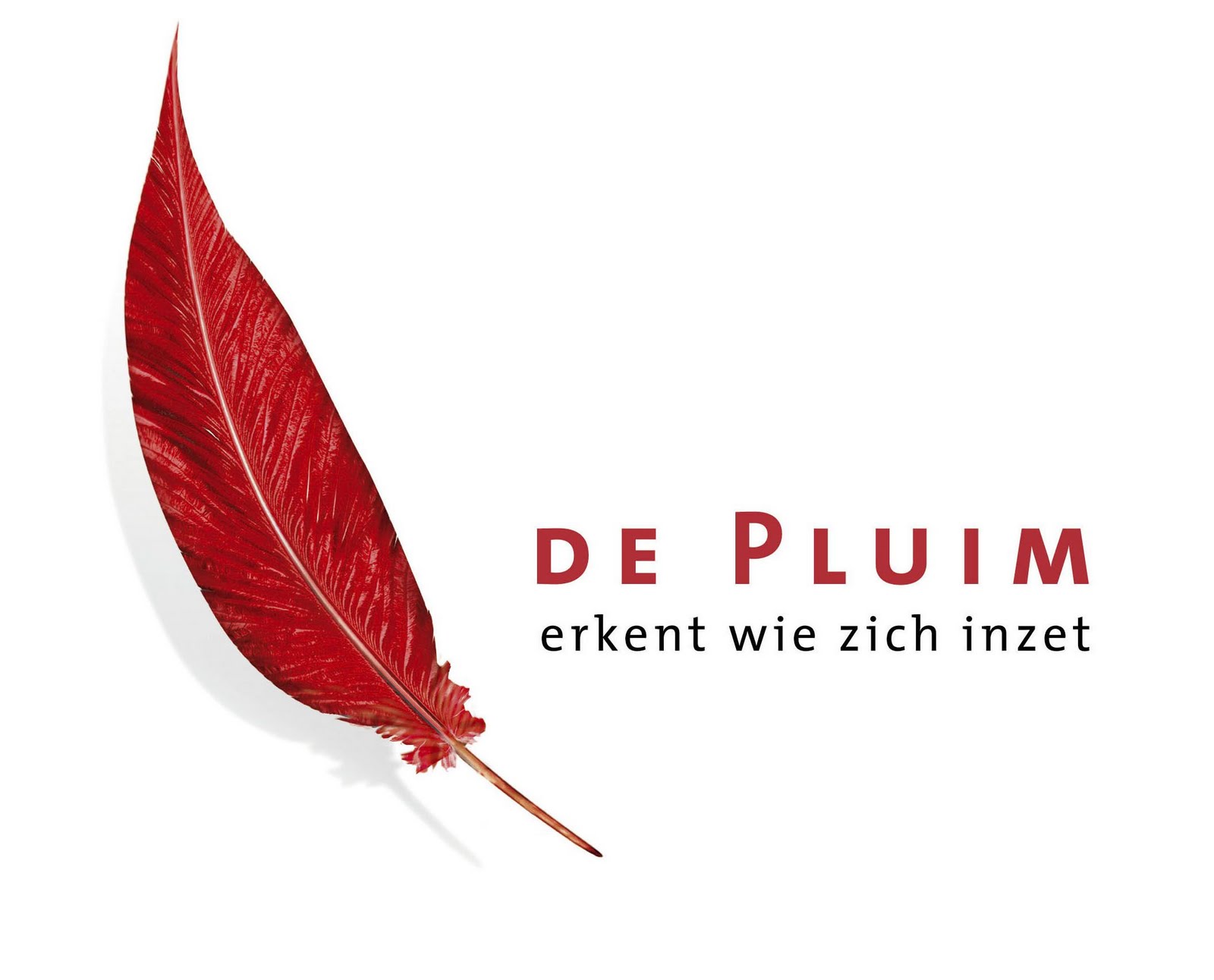 KIEMMA: DE PLUIM 2010