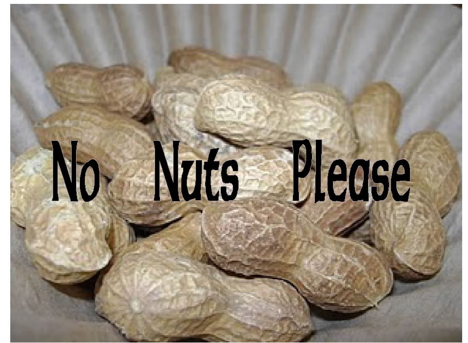 Free Posters and Signs: No Nuts Please