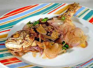 Pirate & Fish: KENALI IKAN INI...IKAN GELAMA