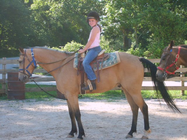 All About Horses: western style riding