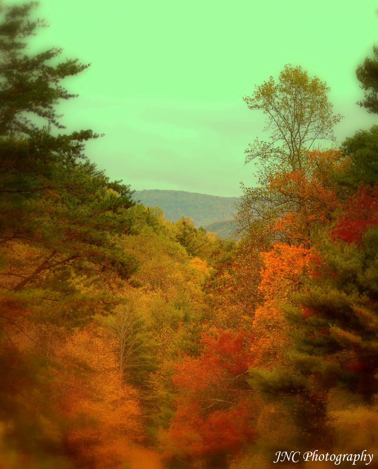 Nature... Subtle But Strong | JNC Photography