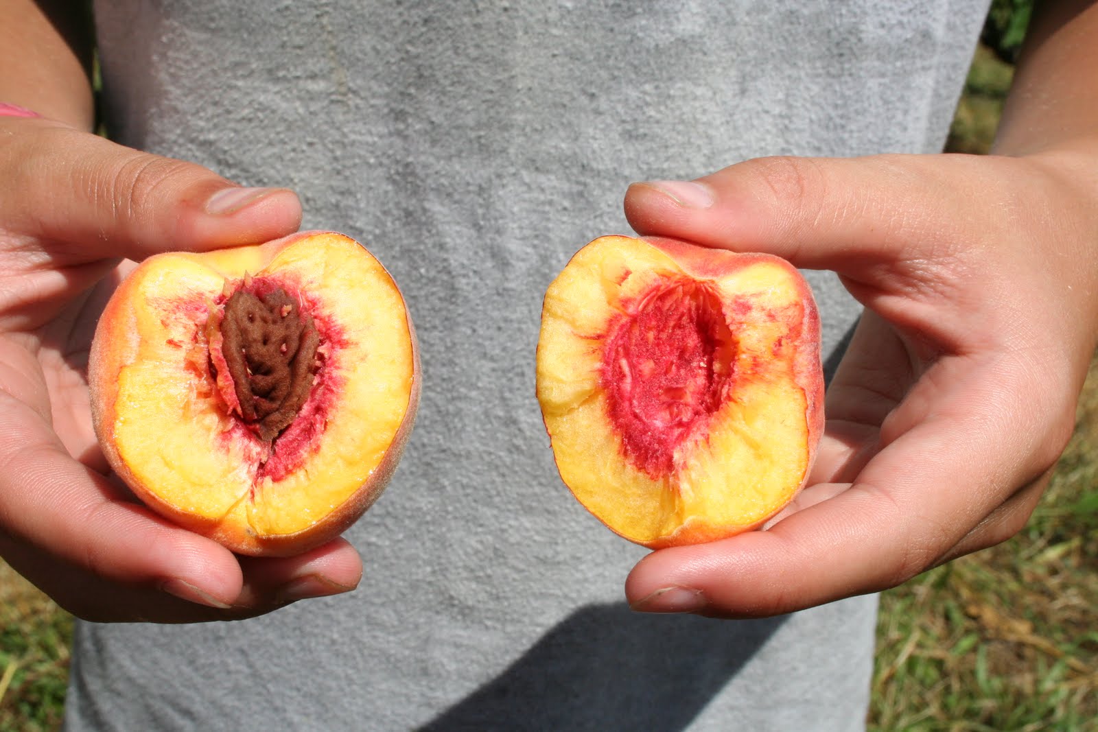 Lukitsch Family Chronicles: Perfect Peaches