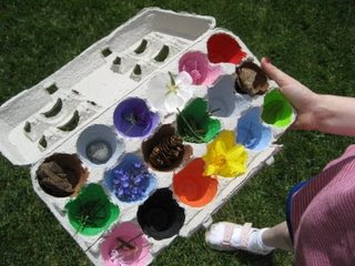 Scribbit | Motherhood in Alaska: Color Coded Nature Walks