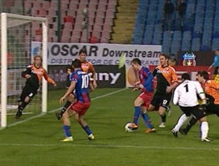 4 nov. 2010 ~ ROS ALBASTRII