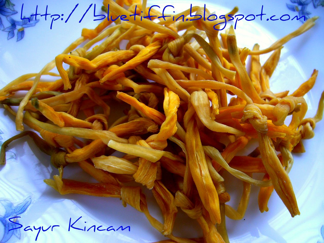 Cercite Kami: Open House Kami + Info Kincam