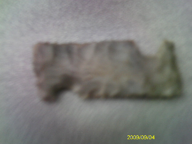 Modern Flintknapper's Blog: Pictures of "Modernized" Flintknapping Art