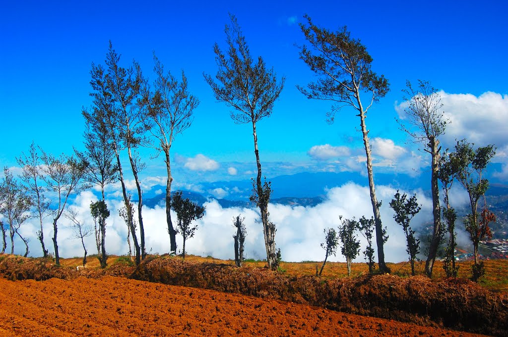 Weekend Trip Baguio: Mount Santo Tomas, November 2009