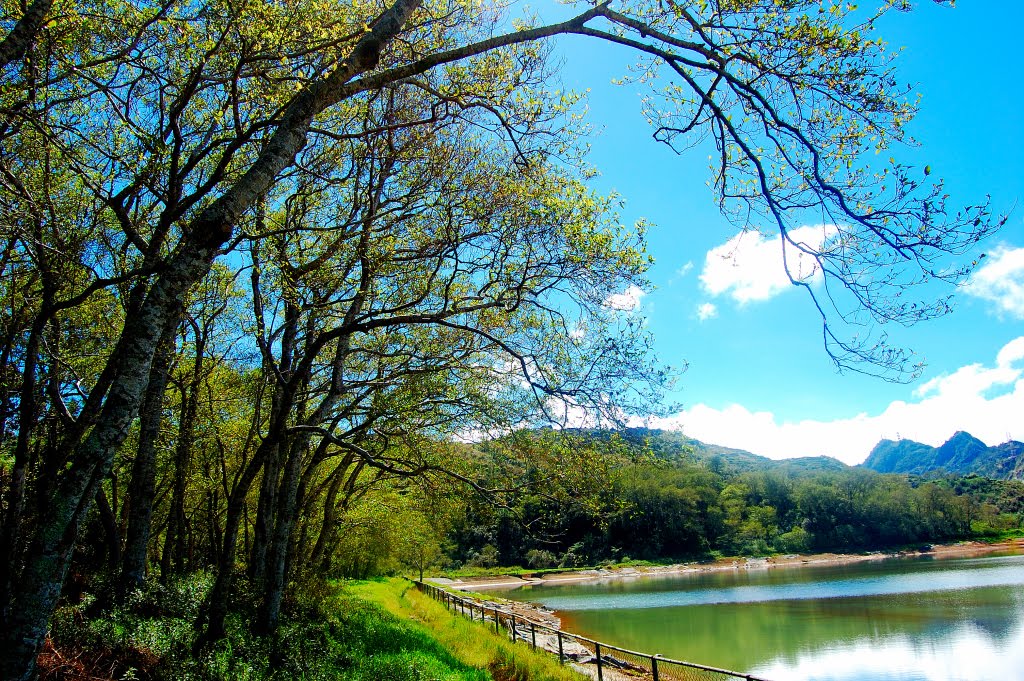 Weekend Trip Baguio: Mount Santo Tomas, November 2009