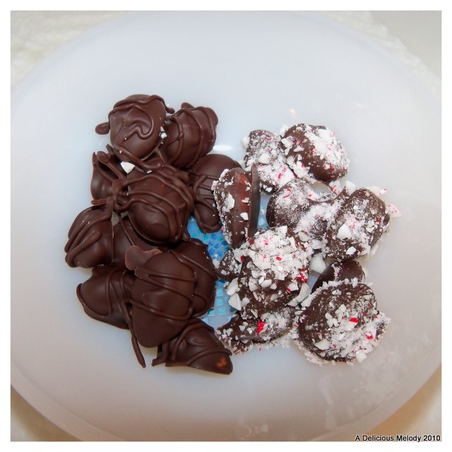 A Delicious Melody: Chocolaty Treats and Gifts