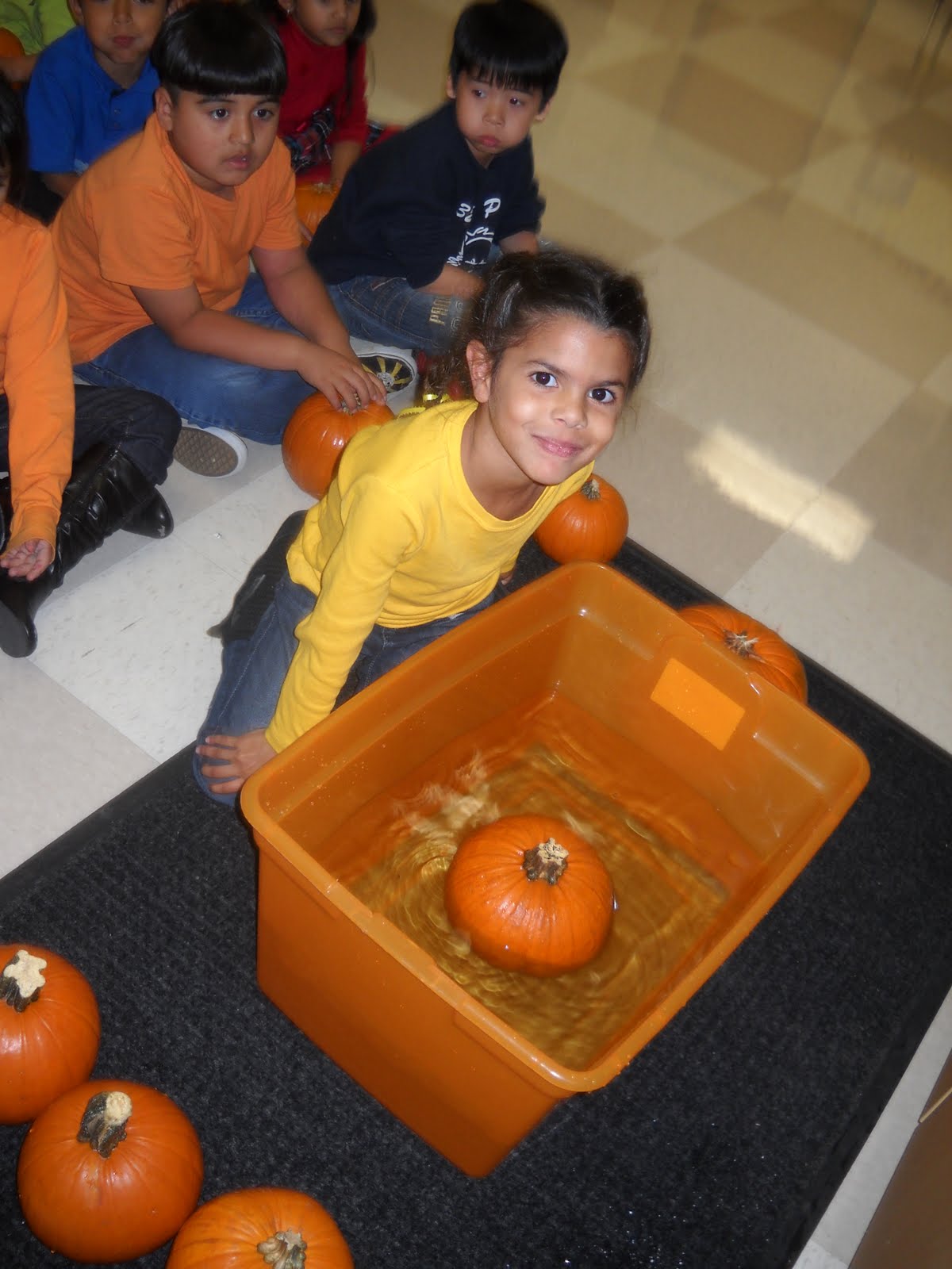 Mrs. Wood's Kindergarten Class: Do Pumpkins Sink or Float?