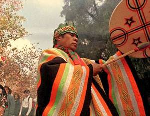 Nación Mapuche. Patrimonio, identidad y territorio