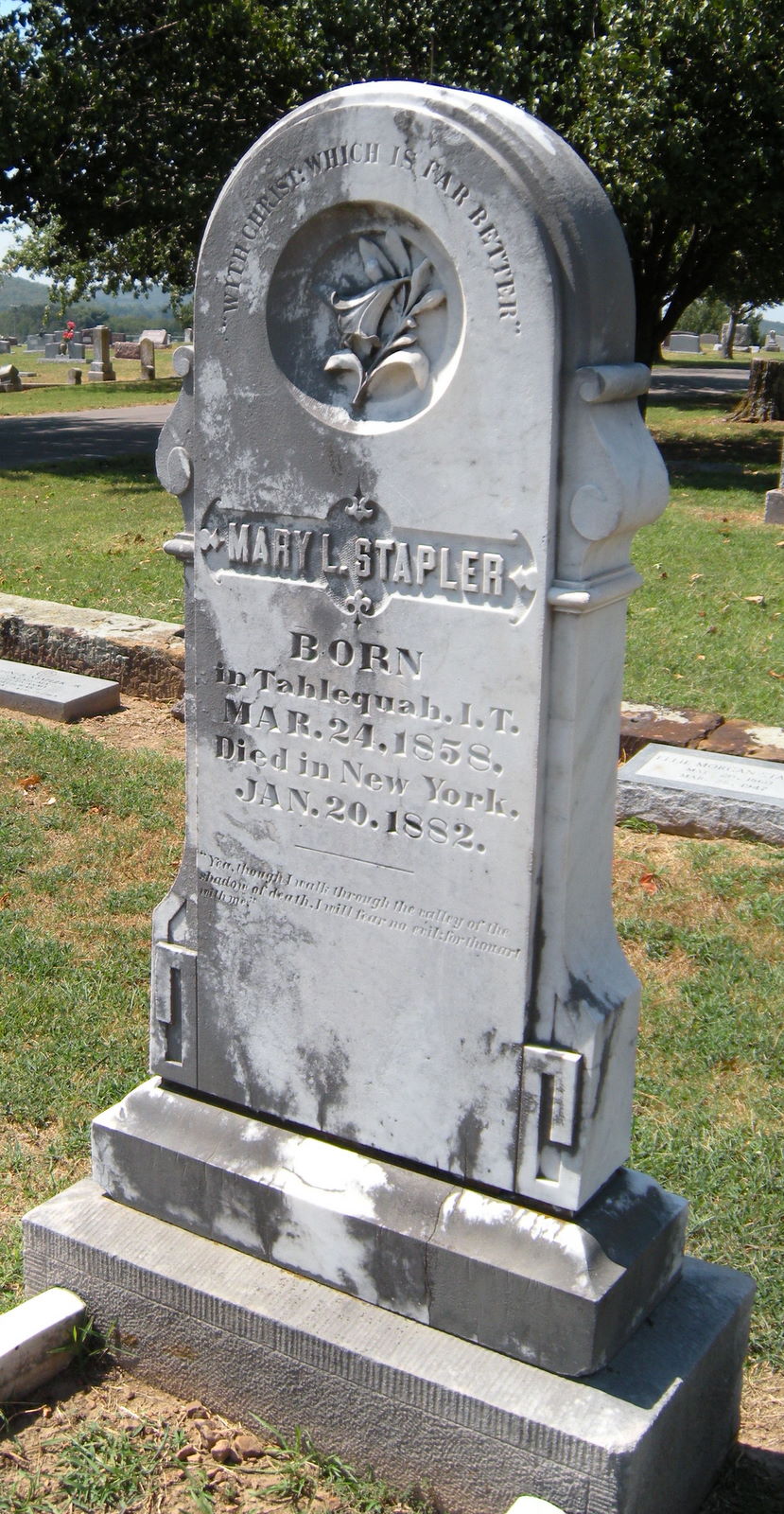 Escape to the Silent Cities: Stapler Family Plot