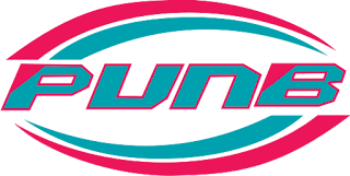 Vectoristic: Logo Perbadanan Usahawan Nasional Berhad (PUNB)