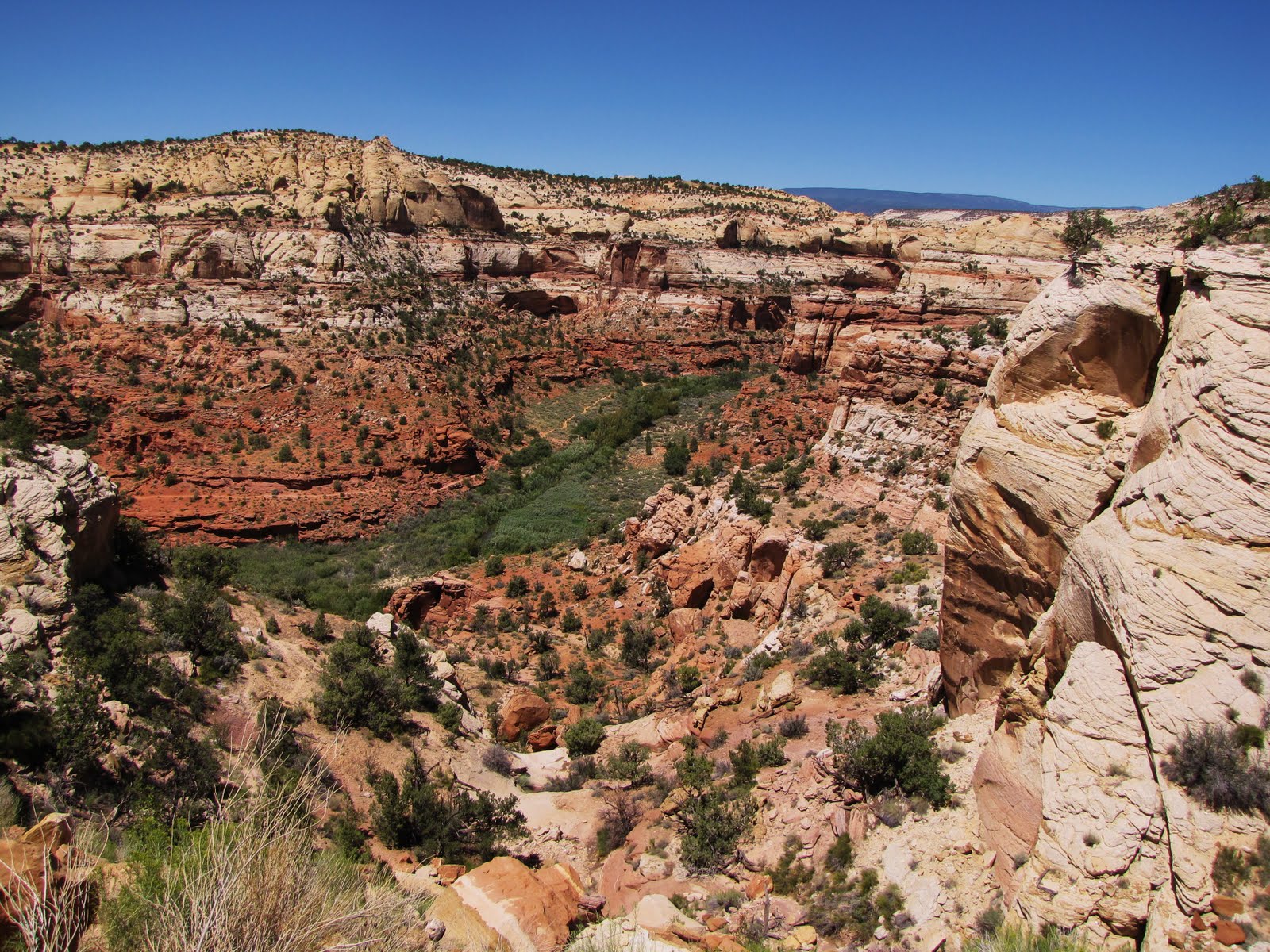 Ricks Reel Adventures: The Boulder Mountains of Utah