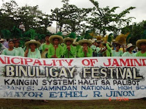 MUNICIPALITY OF JAMINDAN