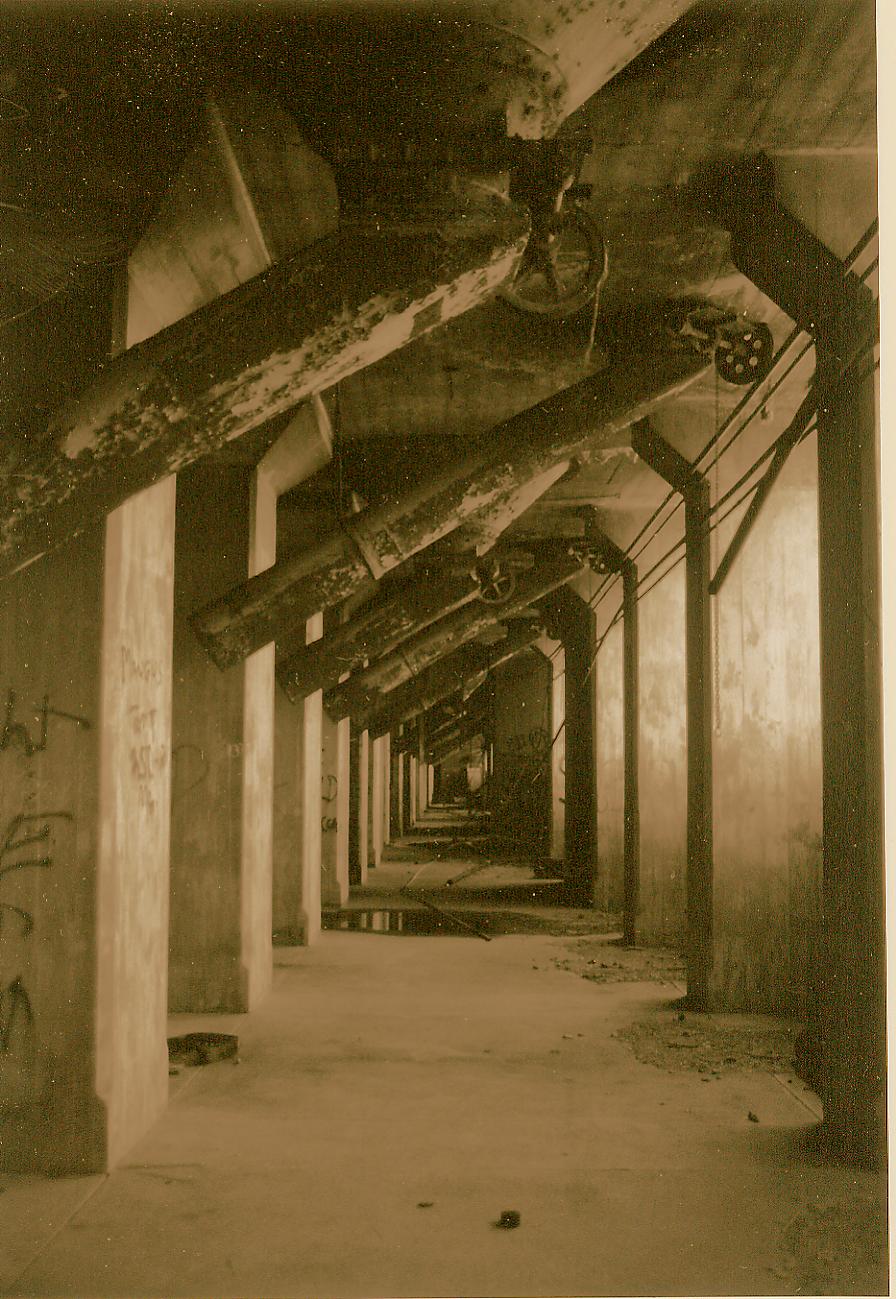 American Colossus: The Grain Elevator: The Concrete Central Elevator