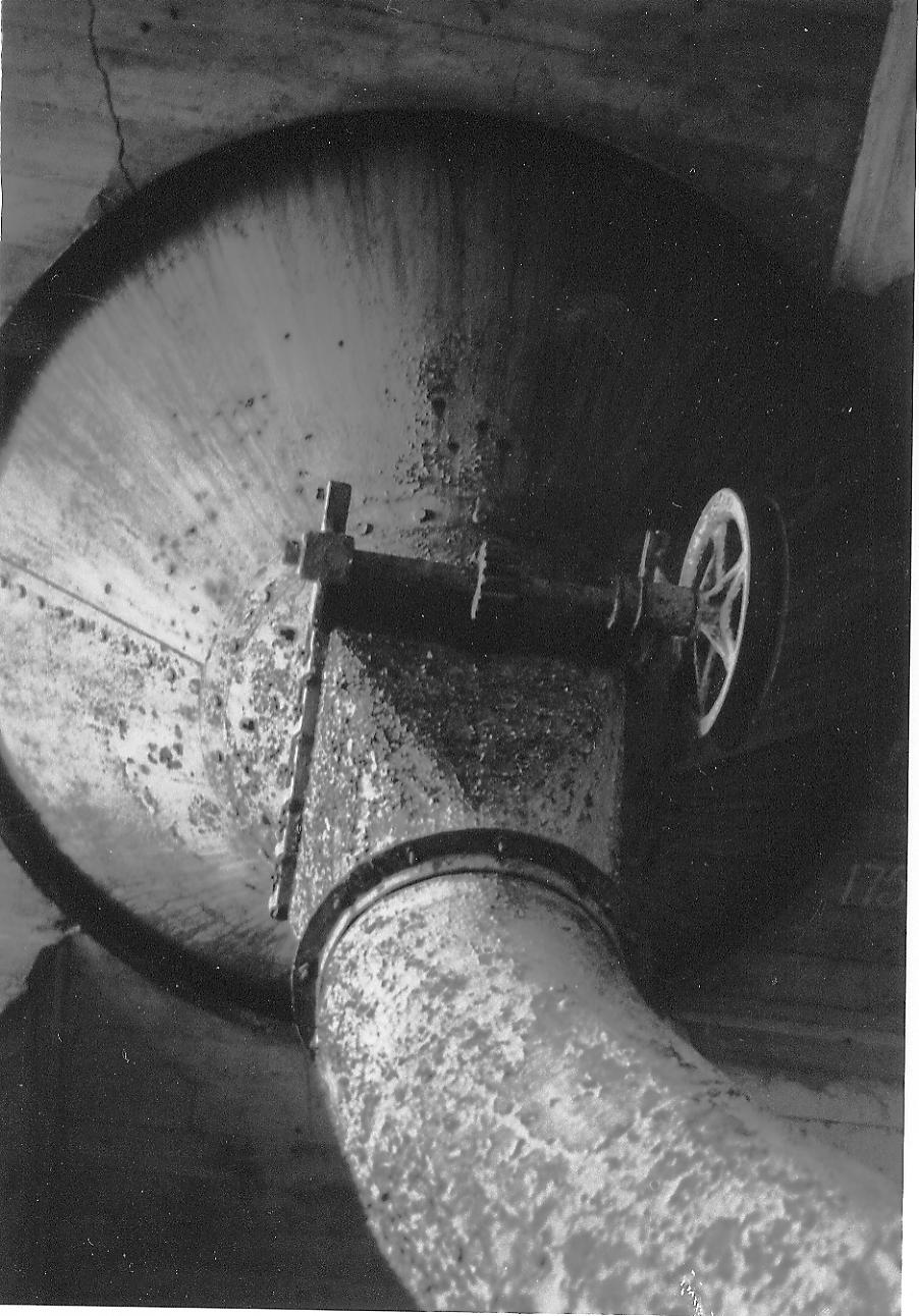 American Colossus: The Grain Elevator: The Concrete Central Elevator