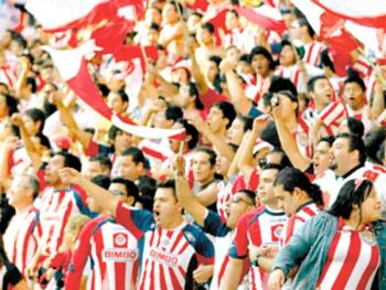 Toda la información de las barra bravas: En mexico también hay barras.