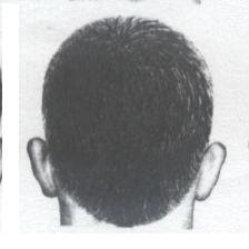 MI PEQUEÑO SPA FUENTE DE BELLEZA: Tipos de nucas