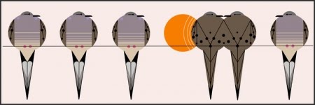 Dirt Balls: Artist: Charley Harper - Some Bird Images