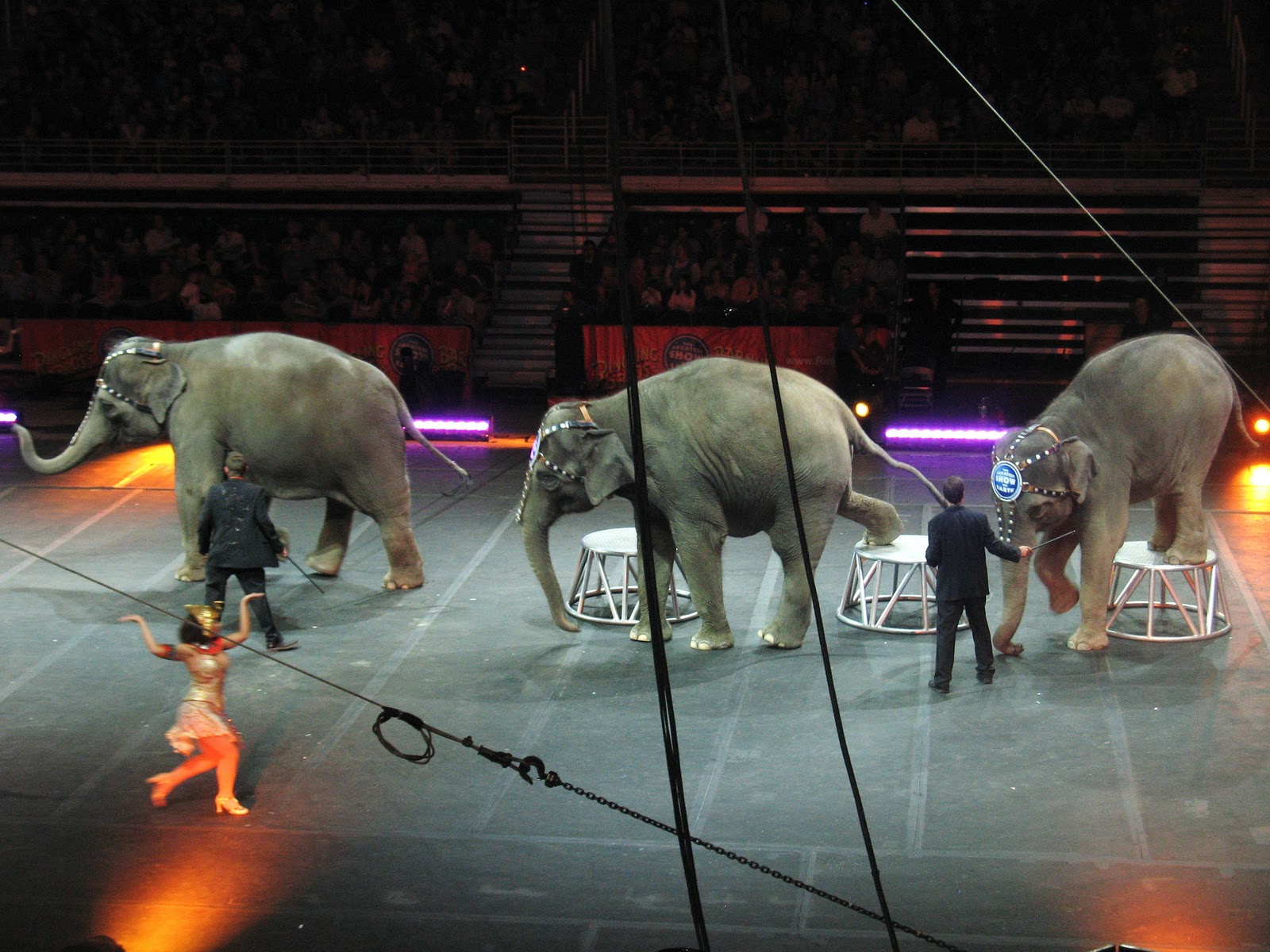 Robbins: Ringling Brothers Circus