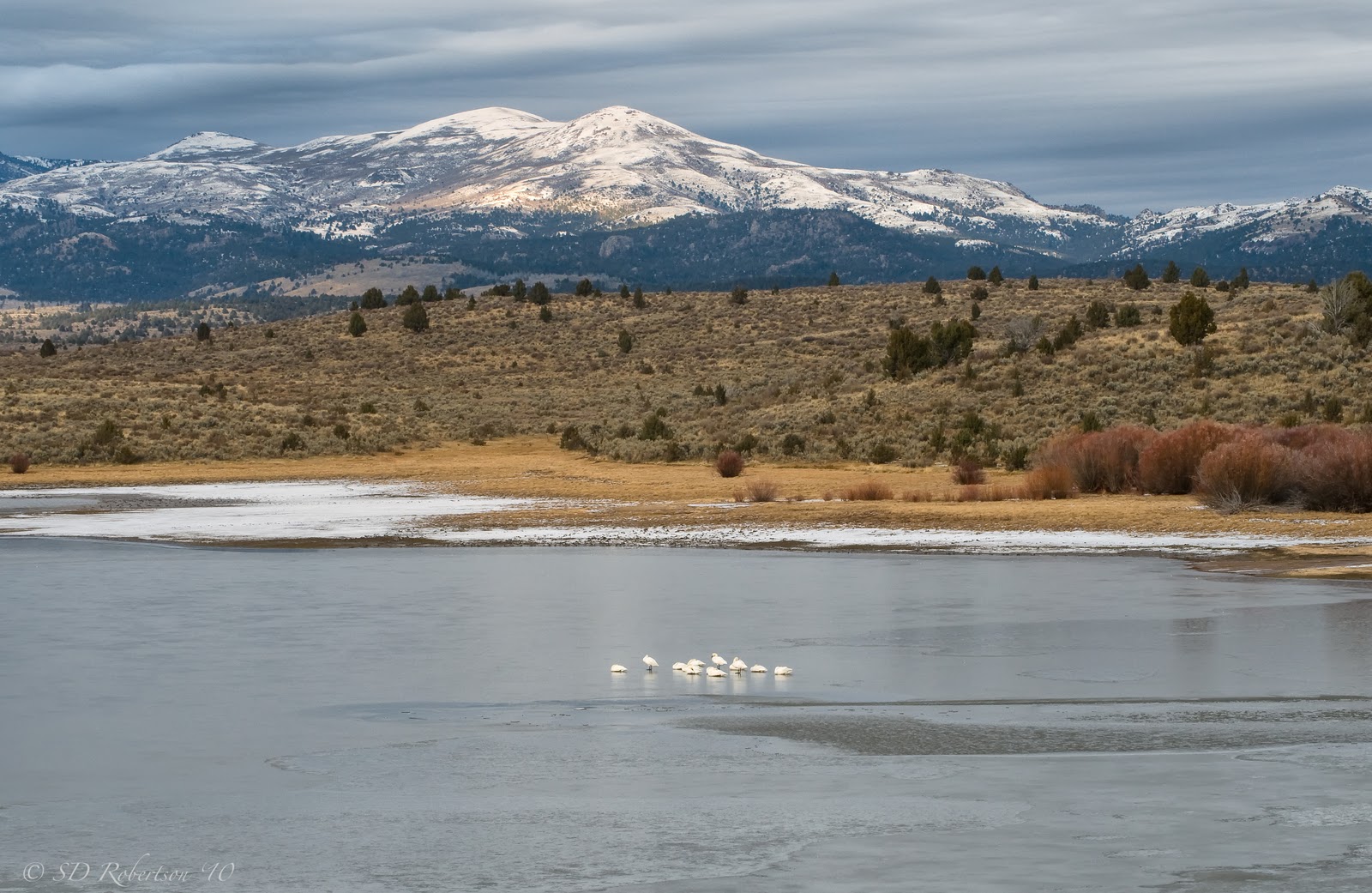IDAHO Visions: Spencer Reservoir