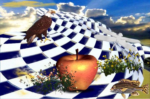 Mod 5 2010 Digital Photography I: God's Creation