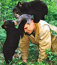 Intelligent Life is All Around Us: Bear Society