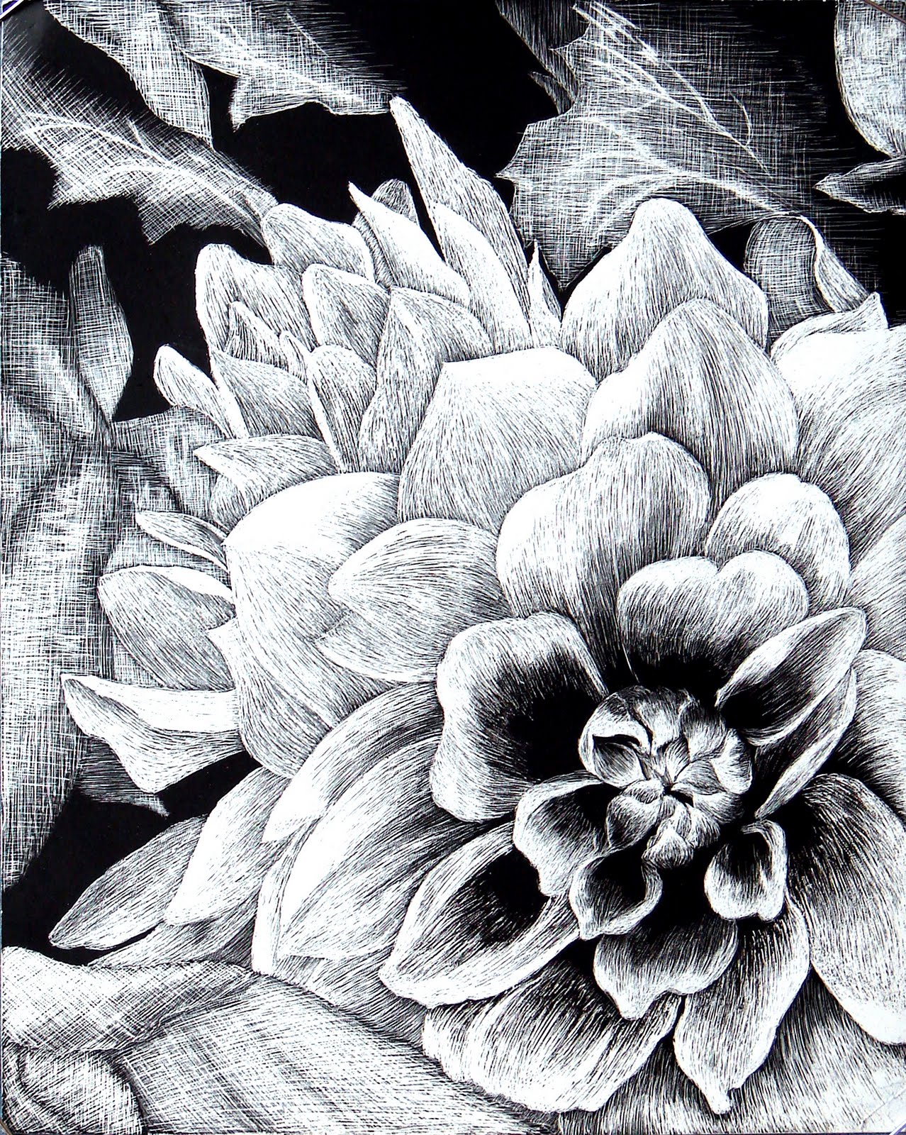 College Art Supplement: Flowers on Boundaries, Medium: Scratchboard ...